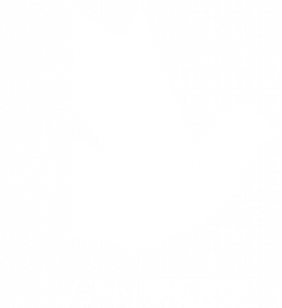 What Is Basic Income - Basic Income Canada Network